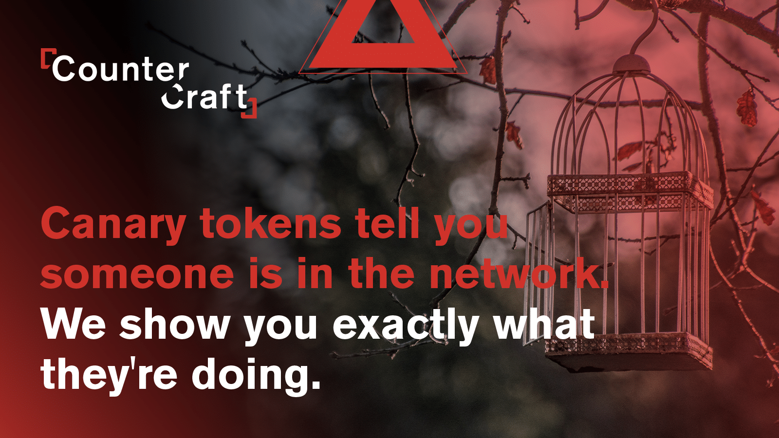 | CounterCraft Canary Tokens & Honeytokens: Beyond the Alert with Deception