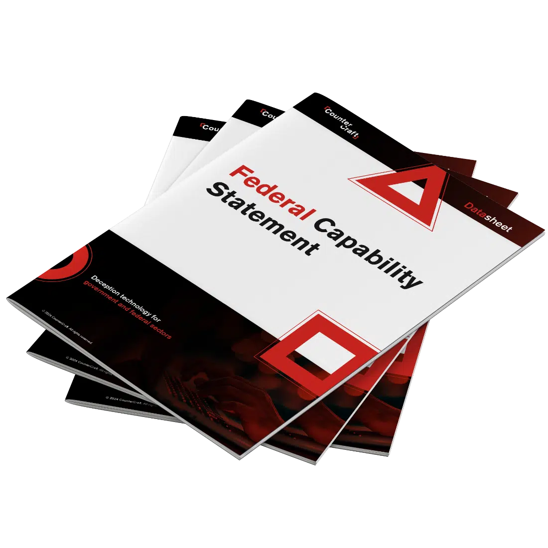 Federal Government Cybersecurity Solution | CounterCraft